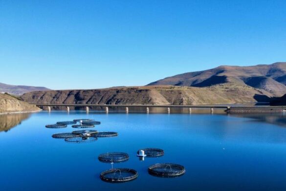 Milestone reached with the implementation of the R4 billion Saldanha ...